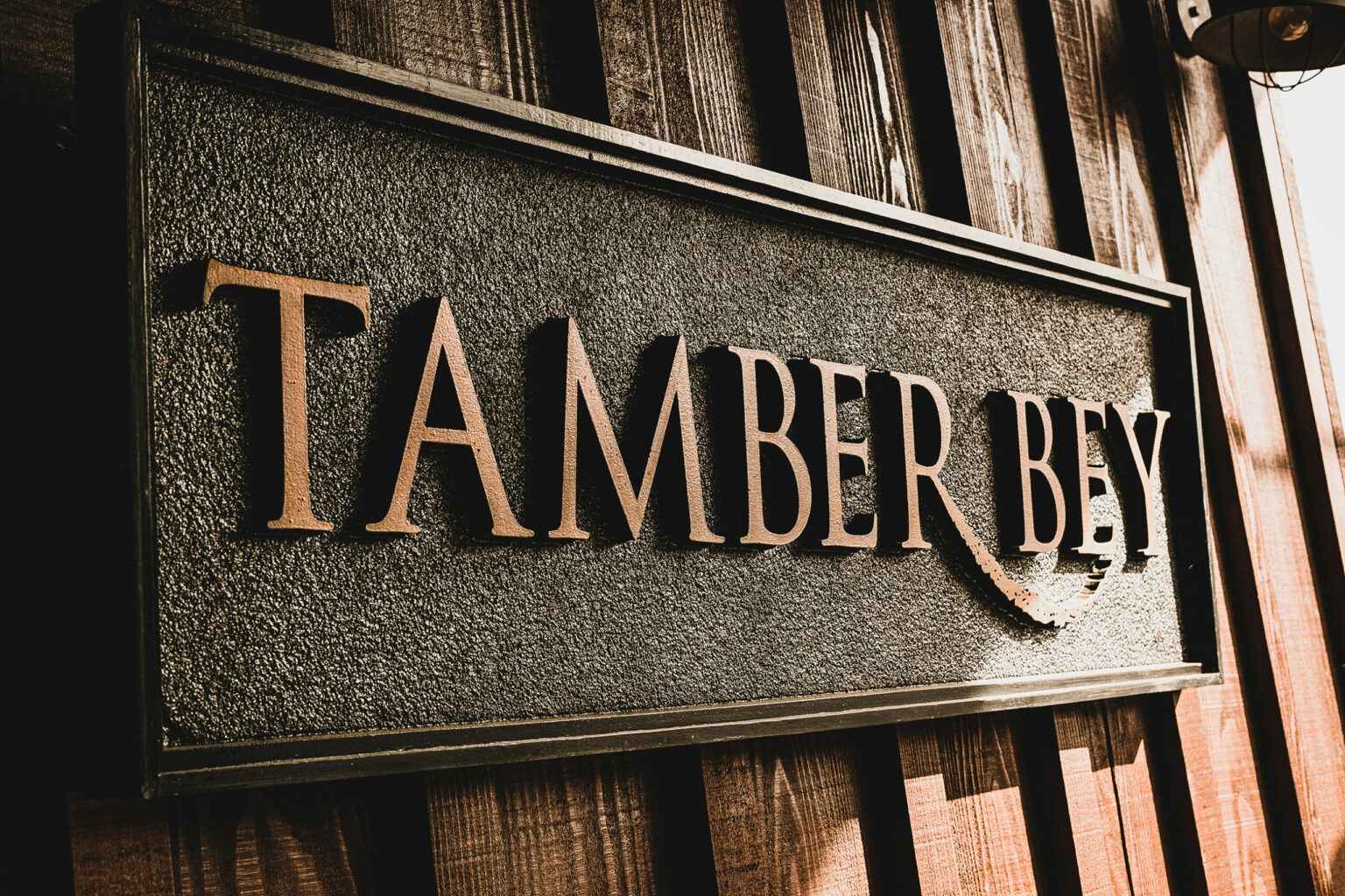 Gallery - Tamber Bey