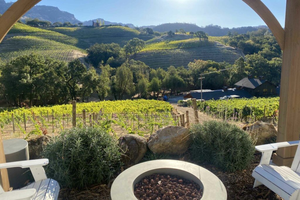 Vineyards - Tamber Bey